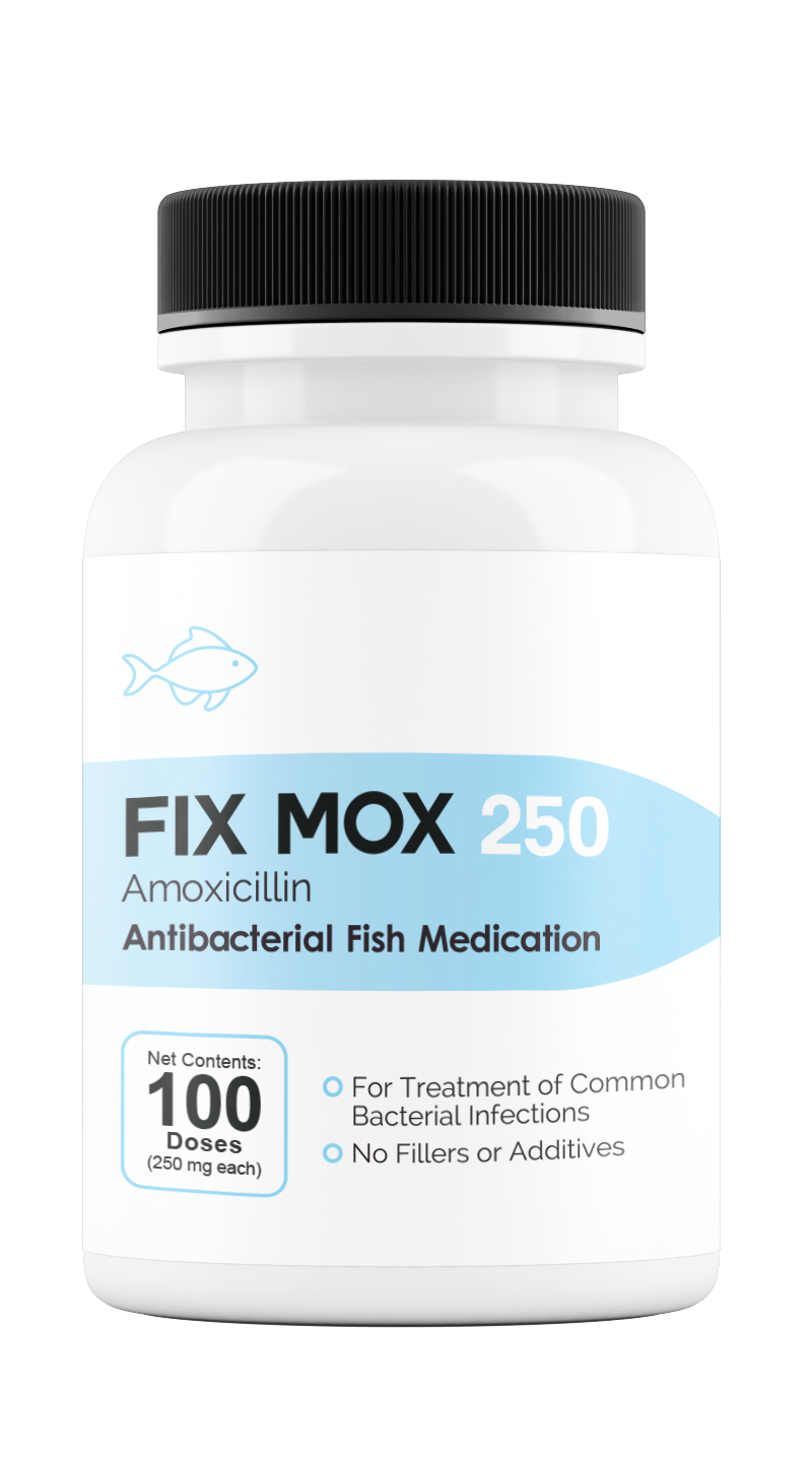250mg Amoxicillin Fish Medicine - 100 Count Antibiotics – Fish Meds Direct