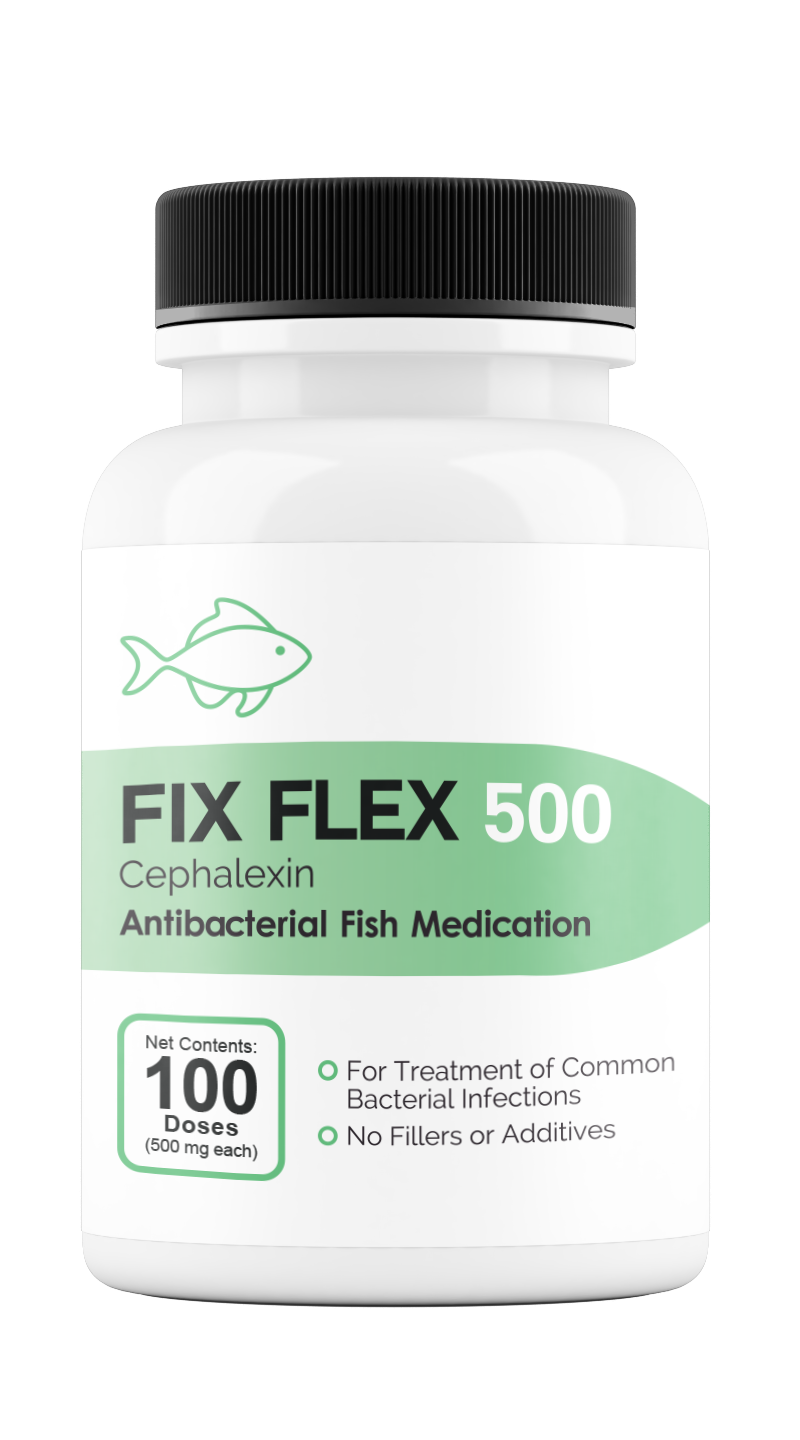 Cephalexin 500 MG for Fish | Broad-Spectrum Treatment – Fish Meds Direct