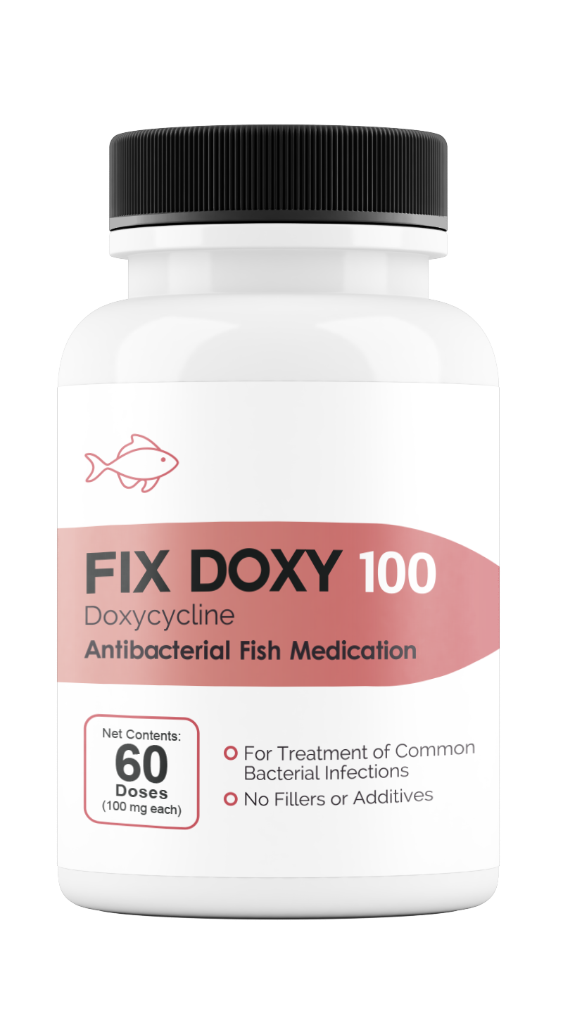 Fix Doxy 100mg (Doxycycline) for Fish Infections Treatment – Fish Meds ...
